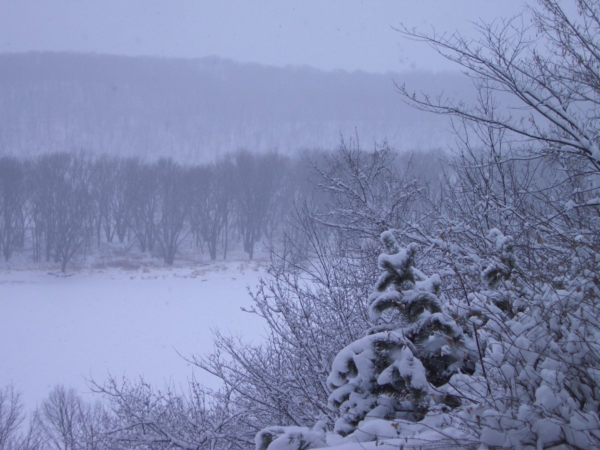 A Poem to Welcome Advent – Jessica Sanborn