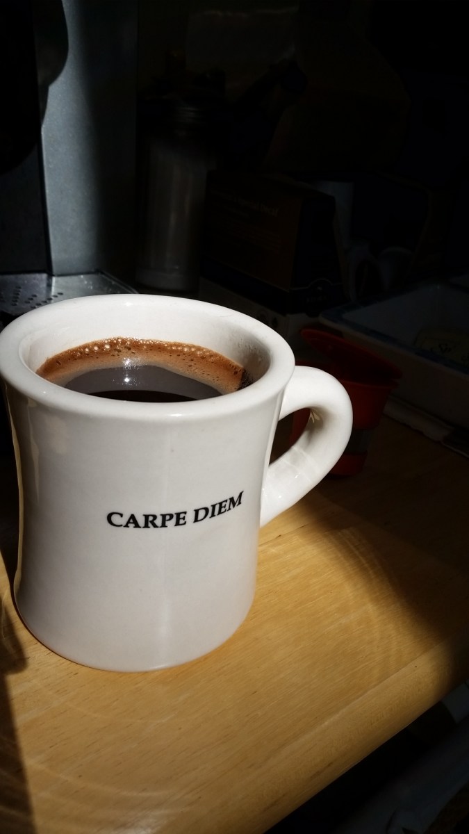 The Question – Jessica Sanborn