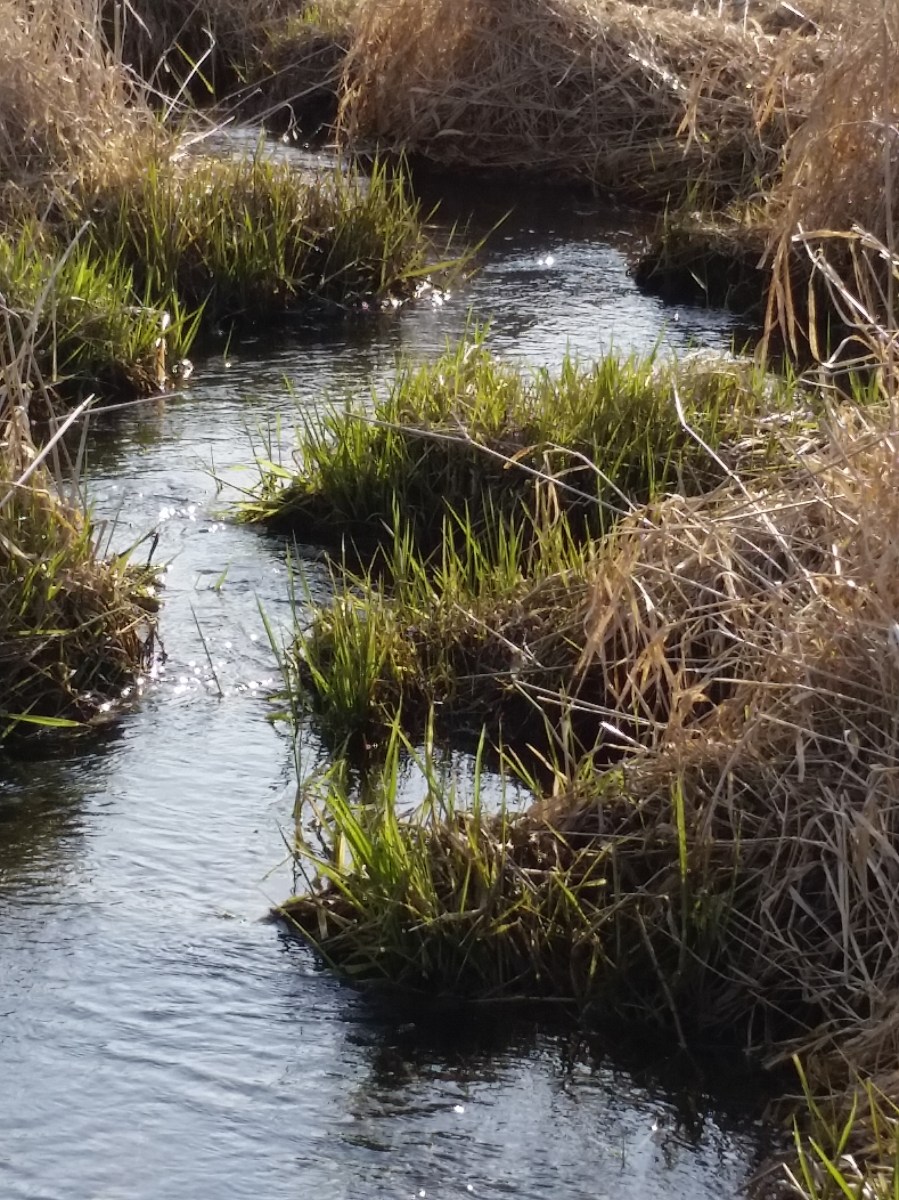 Beyond the Symptoms: From decluttering to mindful social media ...