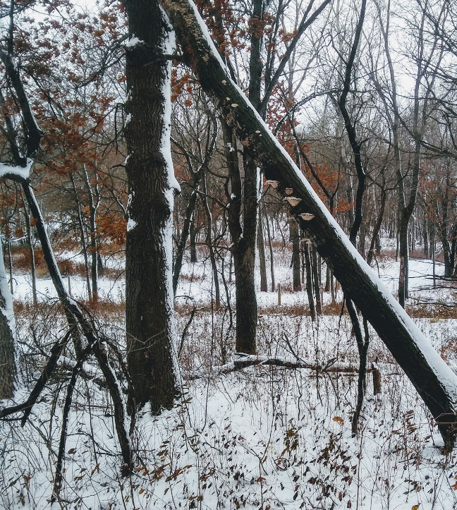 What Does it Mean to Live Yes? (On Marking Time and Living Forward ...