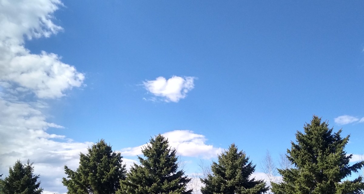 When Grace and Grief Collide – Jessica Sanborn